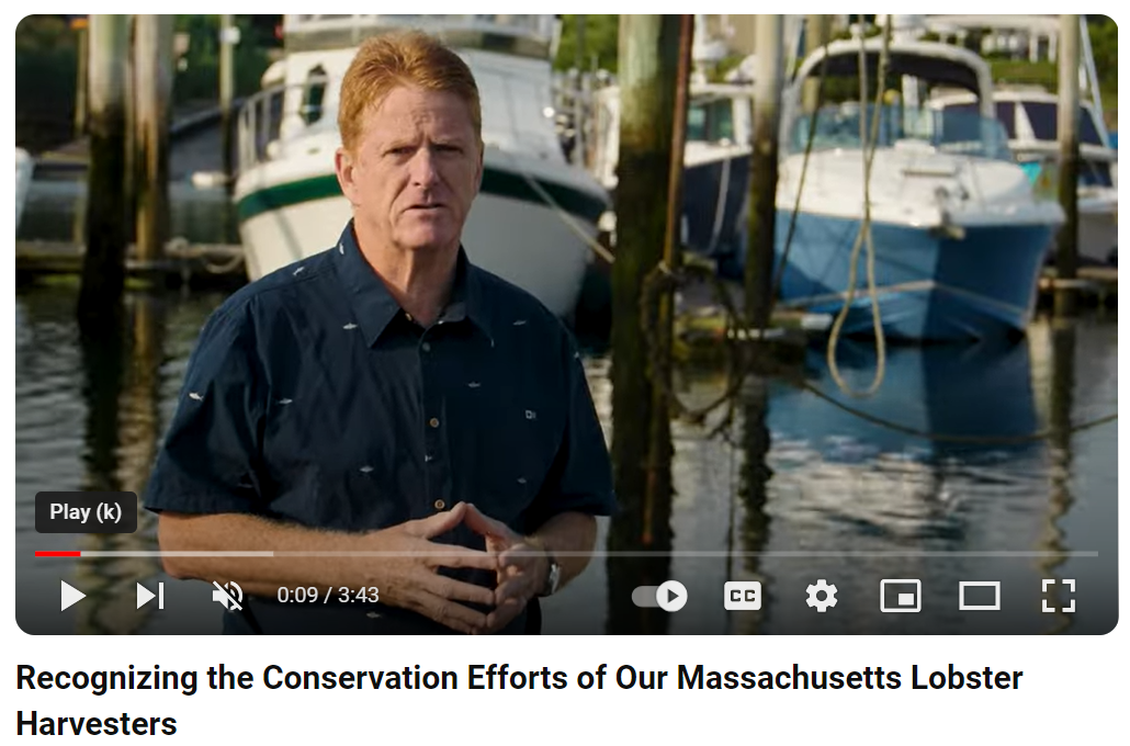 New Video Highlights Right Whale Conservation, DMF and Industry Efforts to Protect Right Whales ...